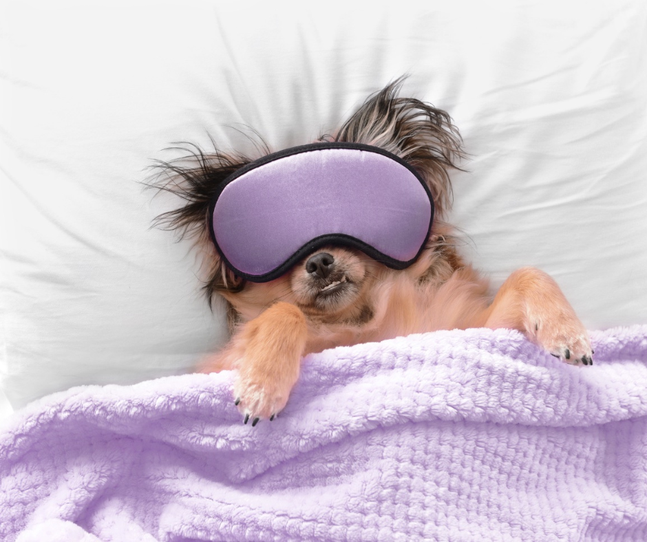 How do I make my caravan mattress more comfortable? – Jonic